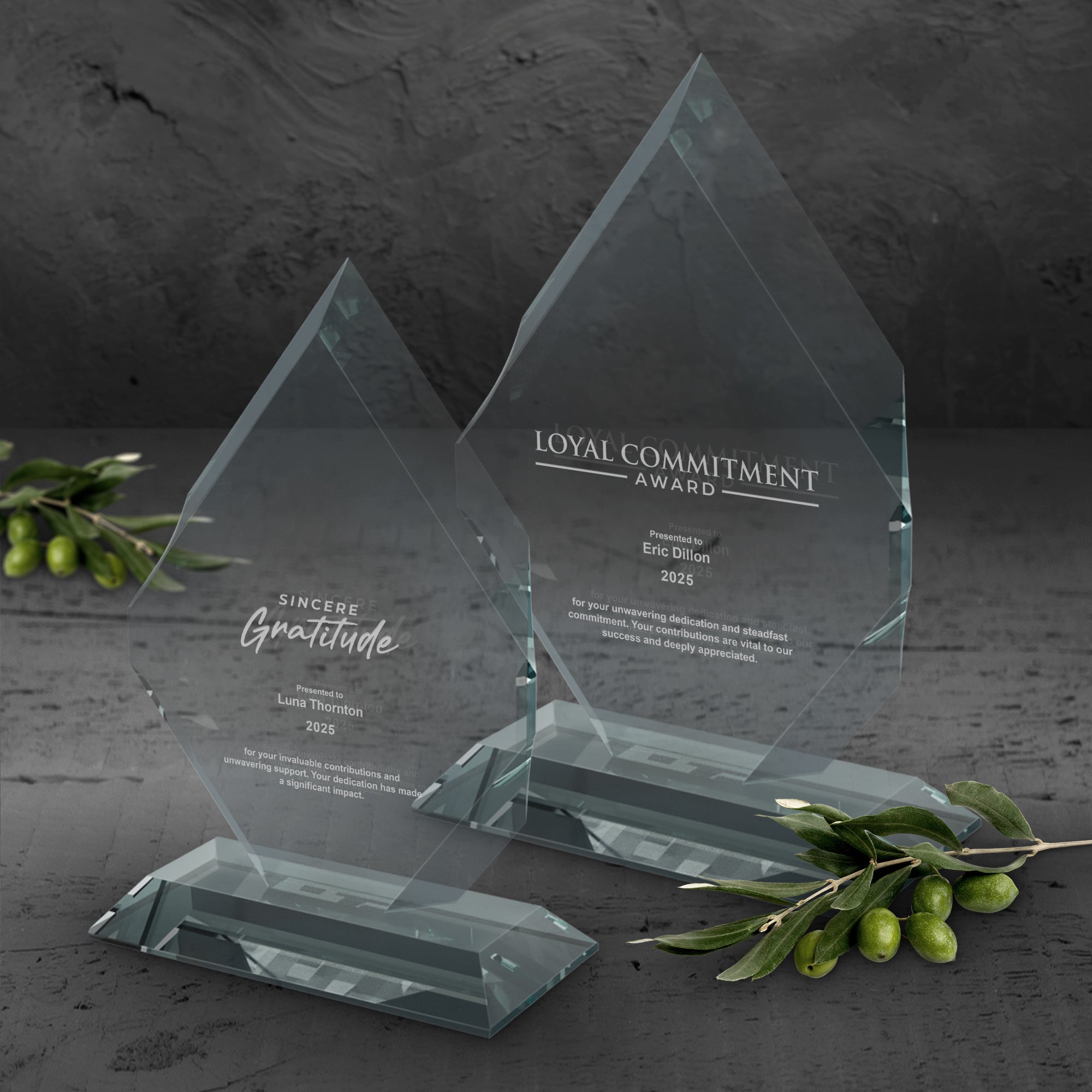 Virtuoso Award – Olive Branch Awards & Recognition