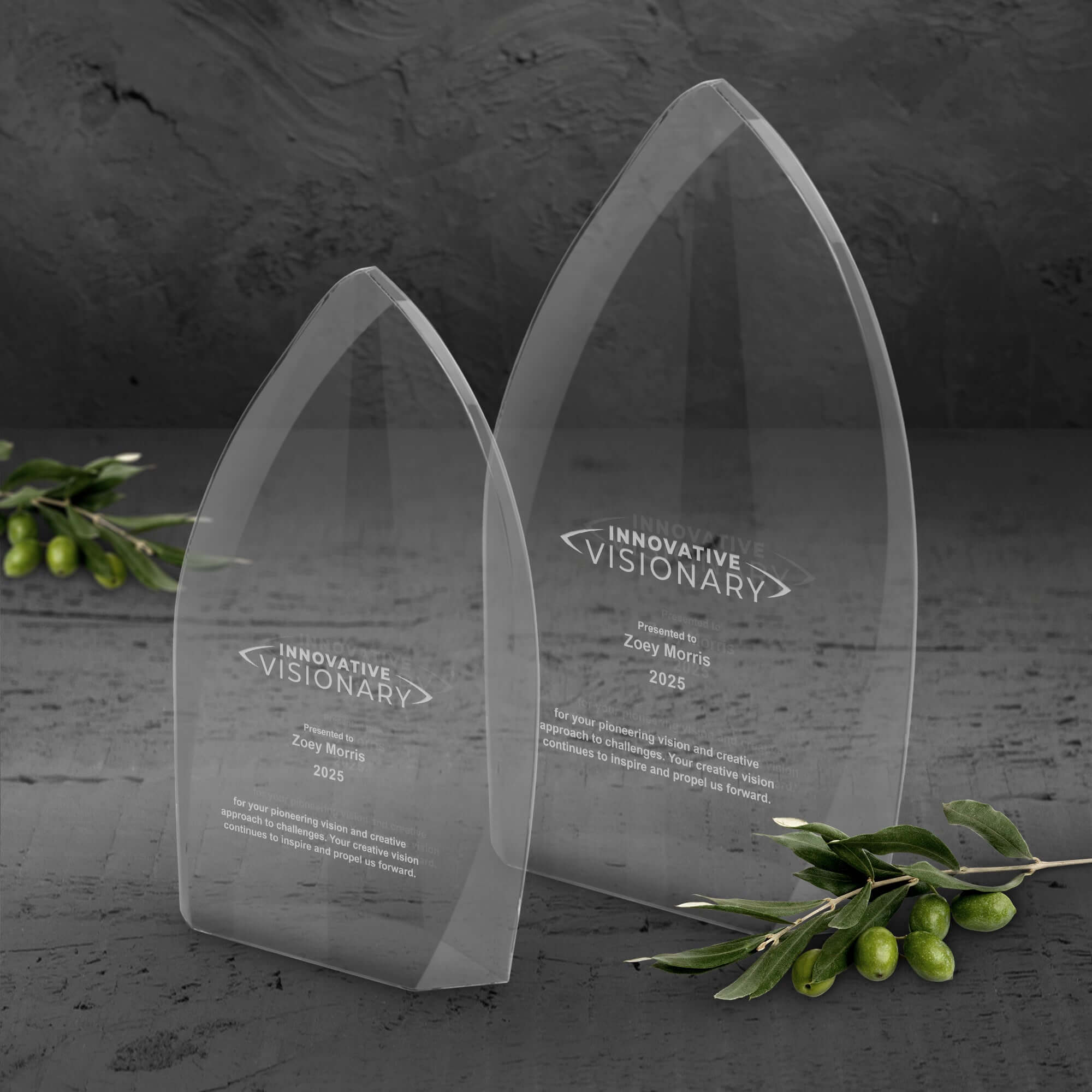 Zenith Award – Olive Branch Awards & Recognition